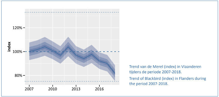 Merel | Ecopedia